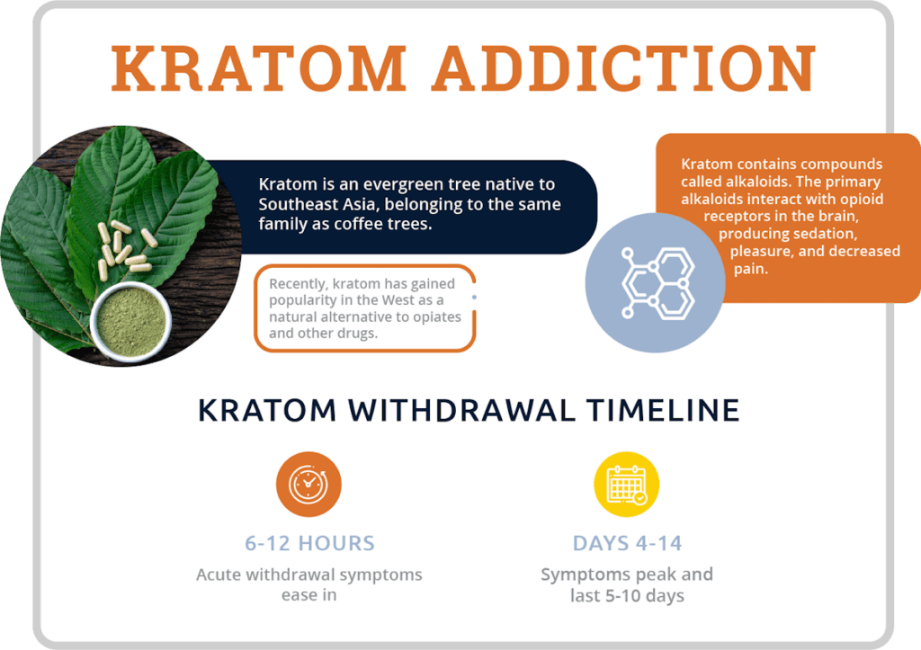 How Long Does Kratom Last in Your Body? - Northern Illinois