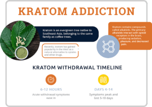 How Long Does Kratom Last in Your Body? - Northern Illinois