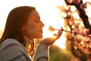 Klonopin vs Xanax: What's the Difference?